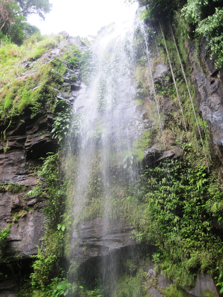 the norm and the craziness....: Consocep Mountain Resort, Tigaon town ...