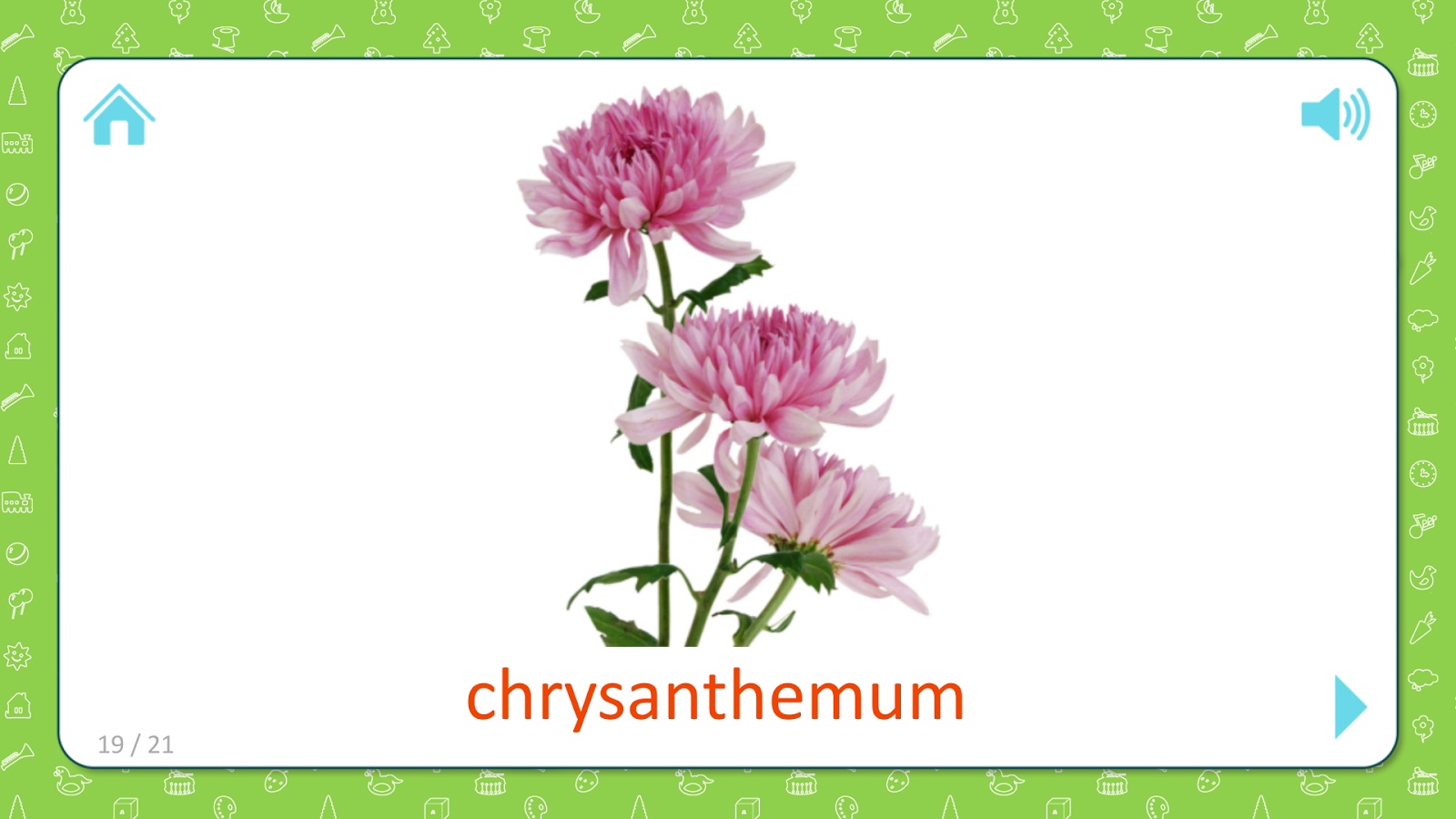 Flashcards for Kids: Chrysanthemum - Flowers - Flashcards for Kids