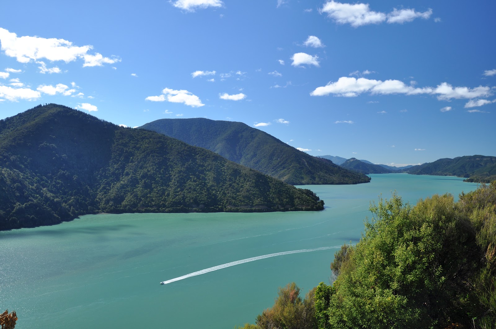 Pat's Tracks: Crossing Cook Strait .. Monday morning (NZ time)