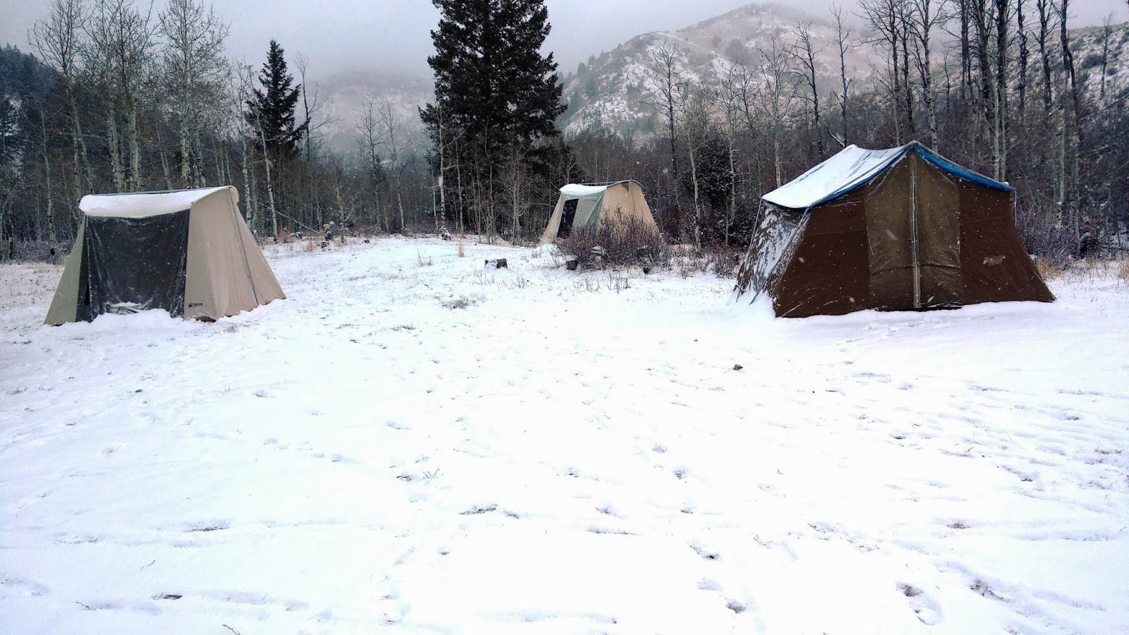 Last Scout Camping Trip