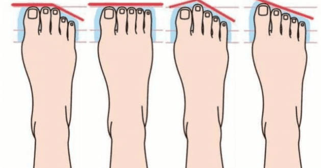 YOUR FOOT SHAPE CAN REVEAL WHAT KIND OF A PERSON YOU ARE! - healhty and ...