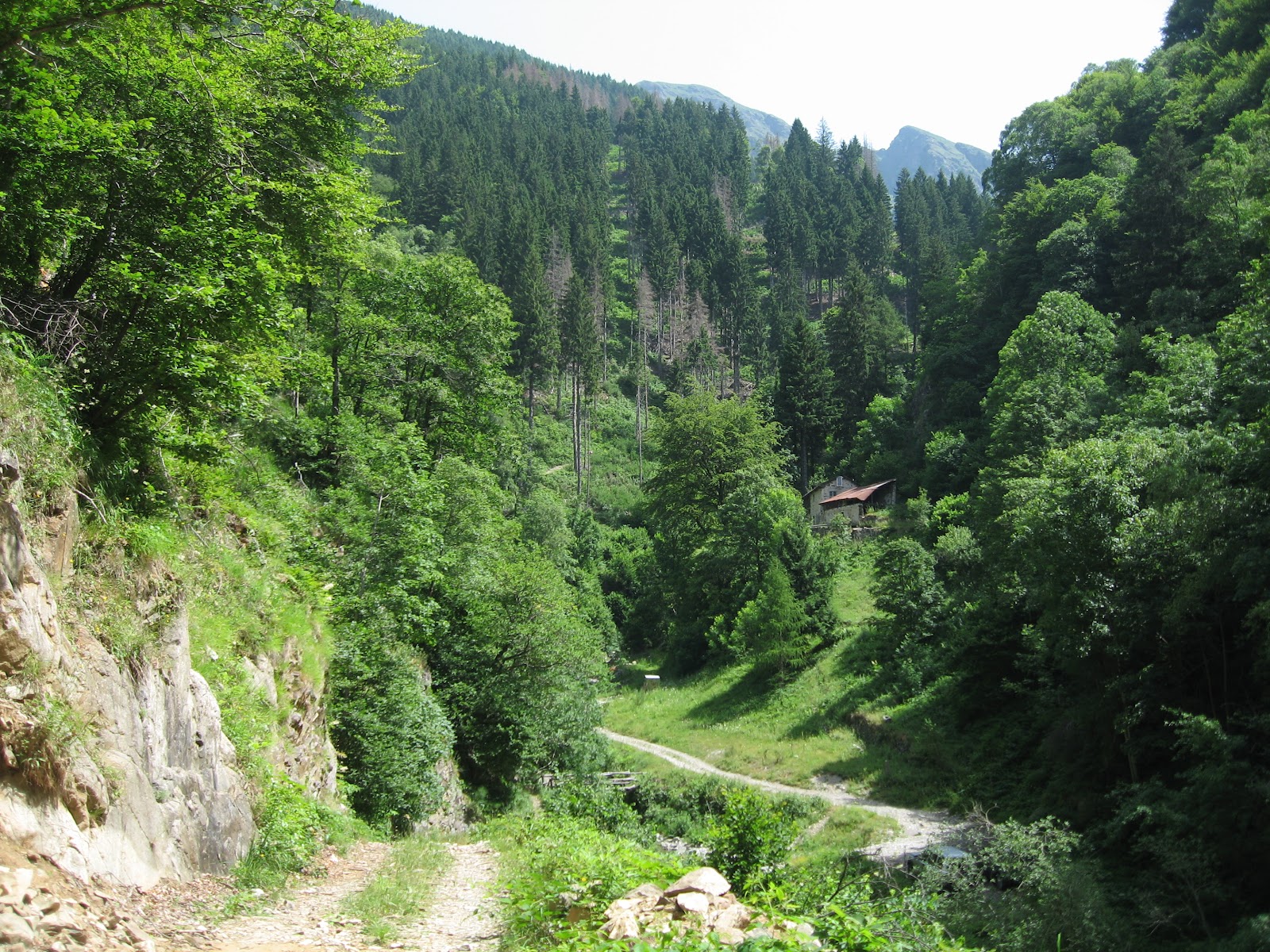 AriAperta: Percorso ad anello Introbio - Rifugio Grassi - Introbio