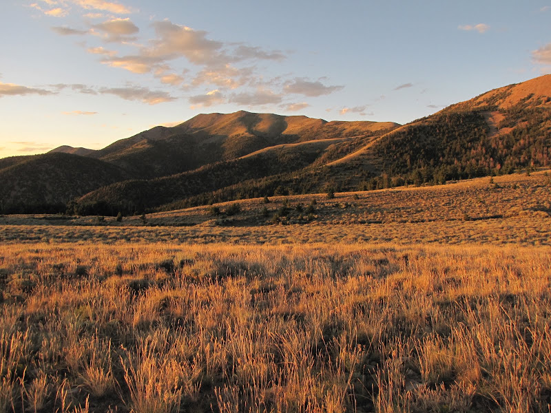 The Road Goes Ever On: A Range of Options - Exploring the Henry ...