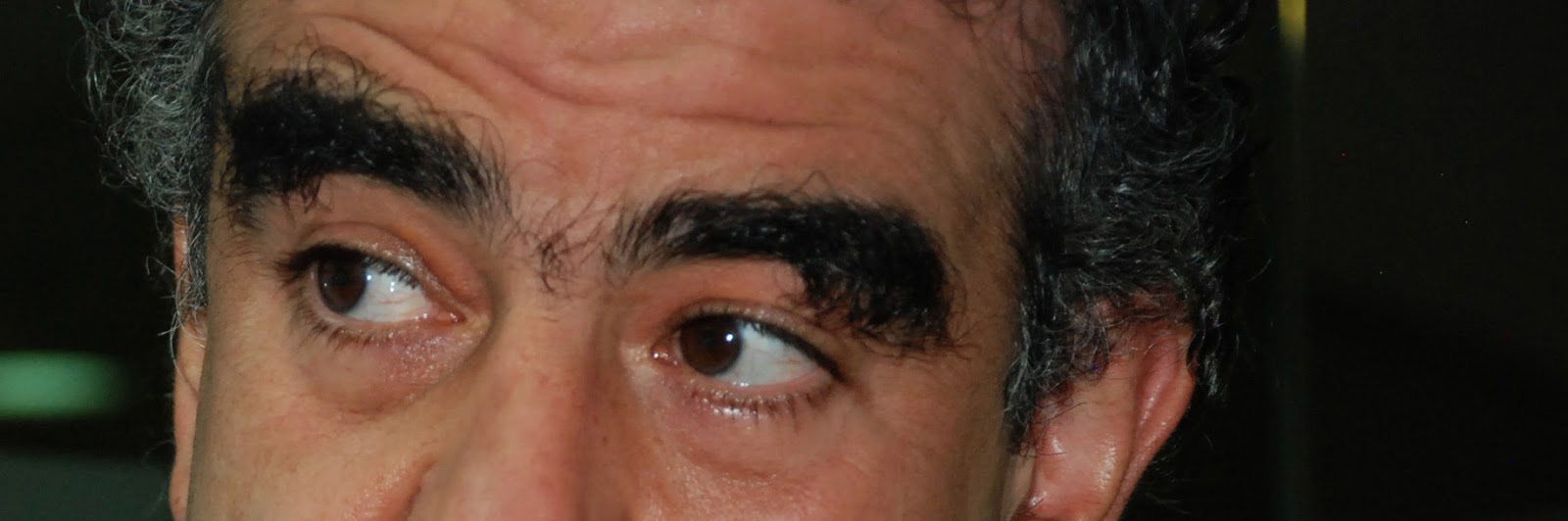 .: Fidel Cano al desnudo - 125 años de El Espectador, un acto de supervivencia