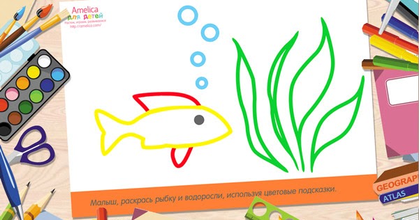 Amelica.com for kids: Цветные раскраски для детей
