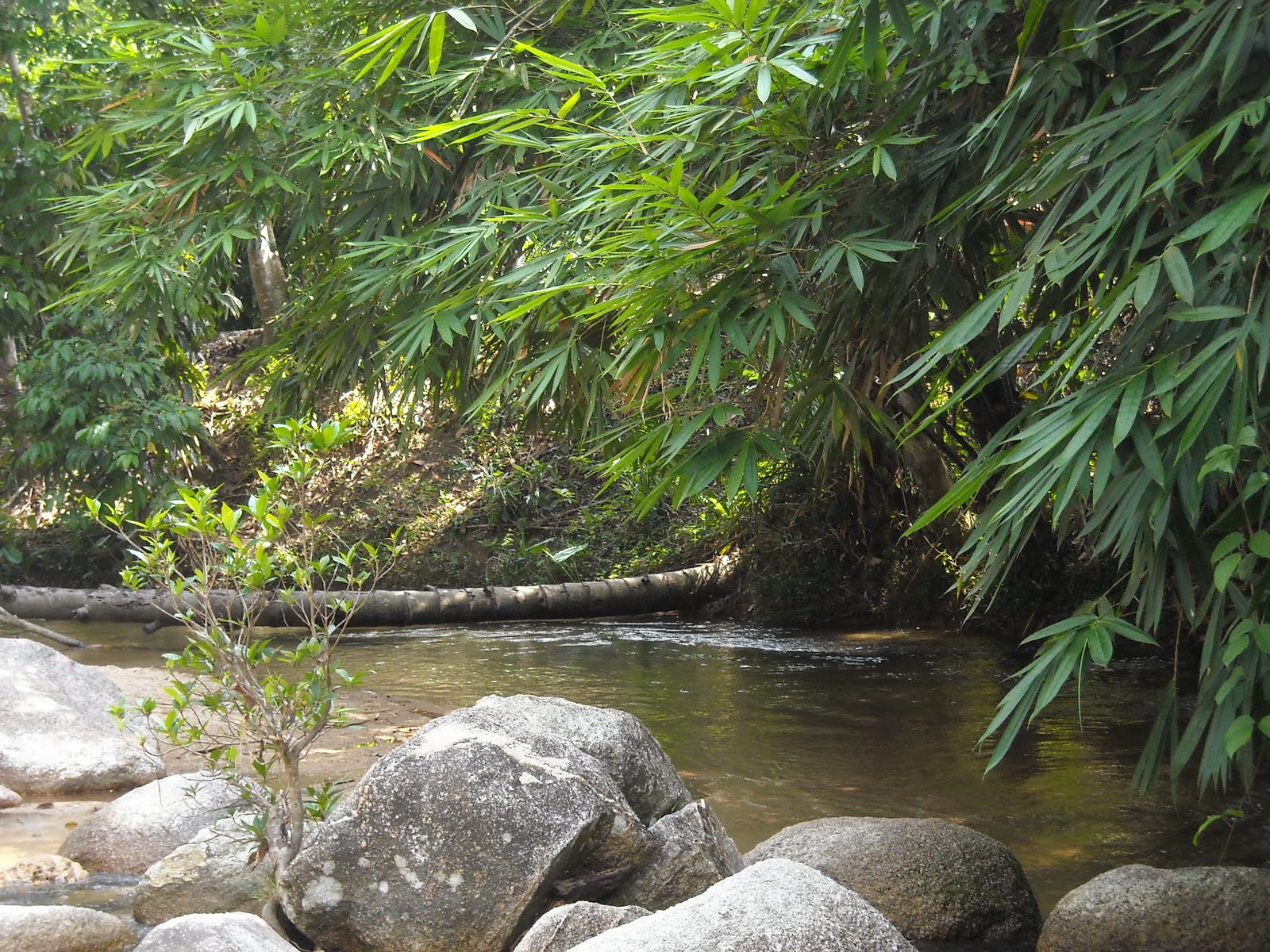 Nota Cikgu Shikin: Pulau Chekas, Raub, Pahang