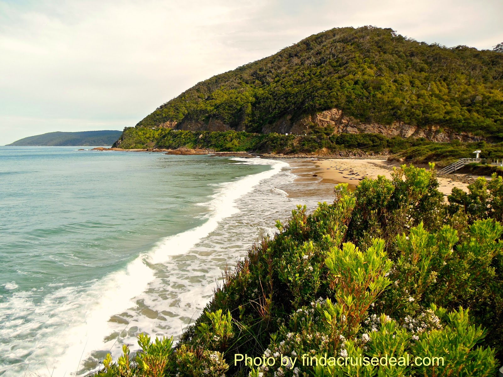 Carl's Cruise Capers and Travel Tips