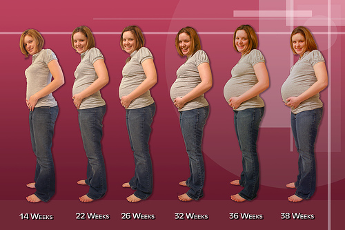 Pregnancy Tips, Blogs: Pregnancy Calendar - Week by Week Fetal Development