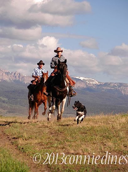 Photographers International: "Walter Leads the Way"Cowboy, Horse ...