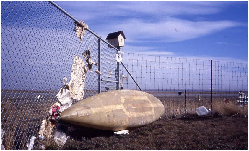 Landfill Litter: Blowing in the Wind