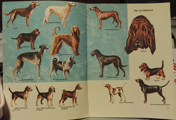 Koukussa koirakirjoihin: Ensimmäinen lukemani koiratietokirja