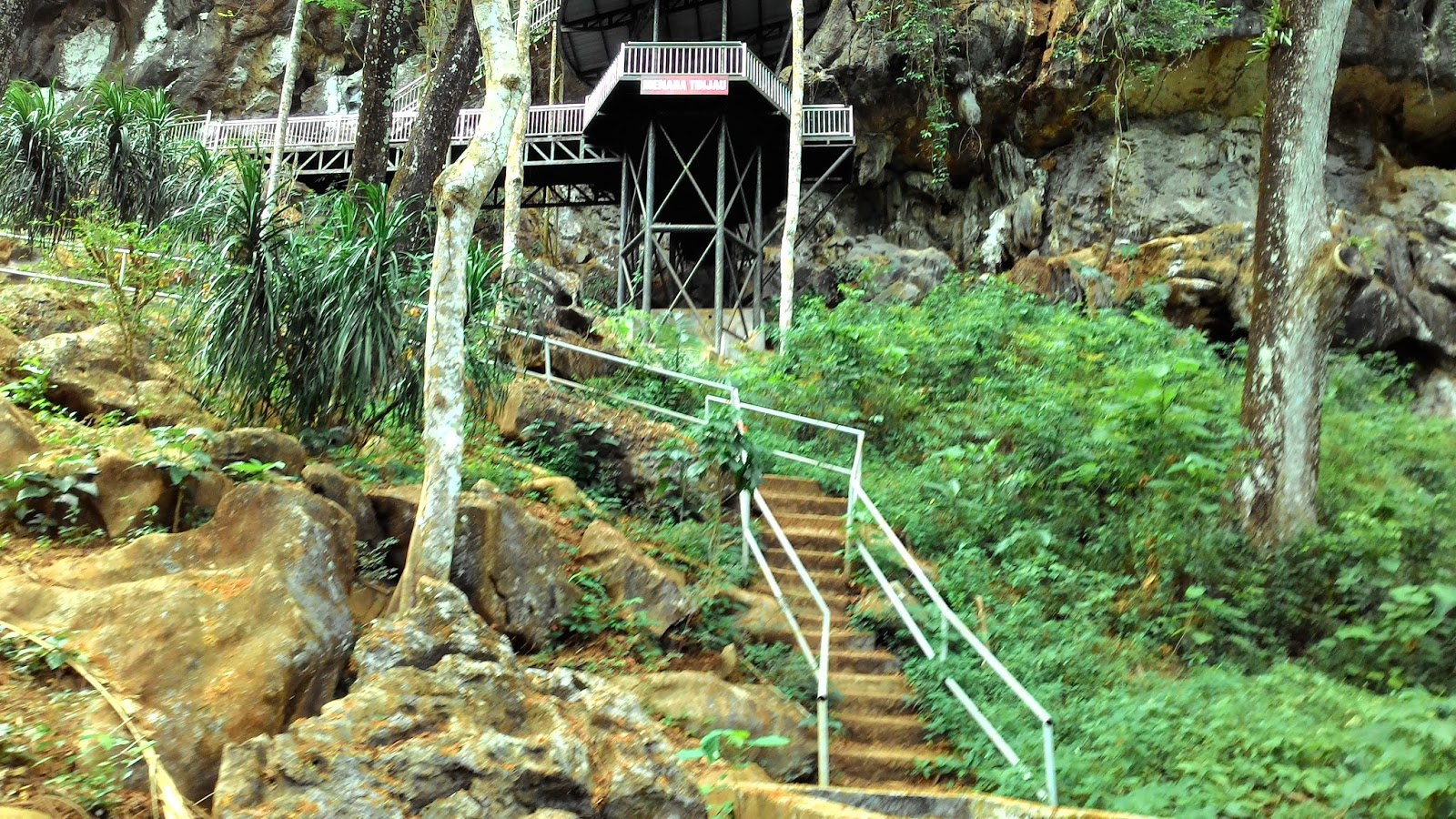 KTH Homestay & Chalet, Mata Ayer, Perlis: Exploring Gua Kelam - Caving ...