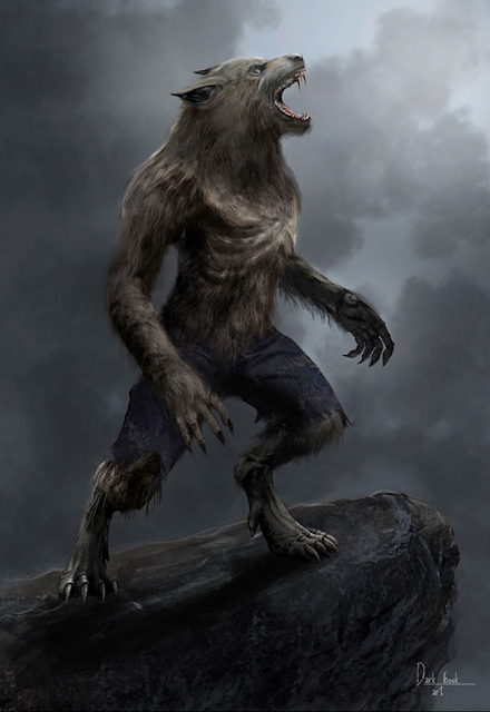 ShapeShifter Seduction: Werewolves of Wolf-Land and Wolf Peak Territory