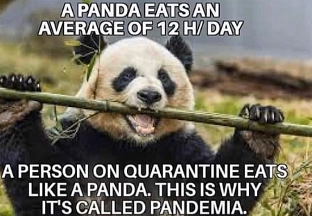 35+ Coronavirus Funny Jokes (Images, Quarantine Day Special ...