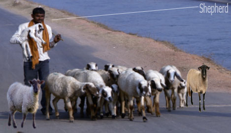 Learn 87 Occupations Name with Necessary Vocabulary & Pictures ...