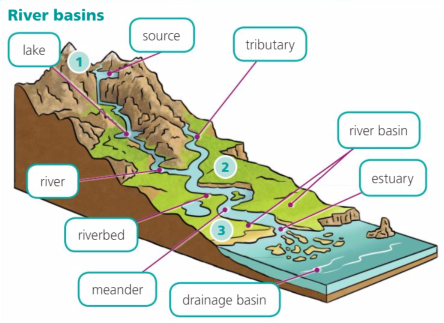 Real Science & English: enero 2017