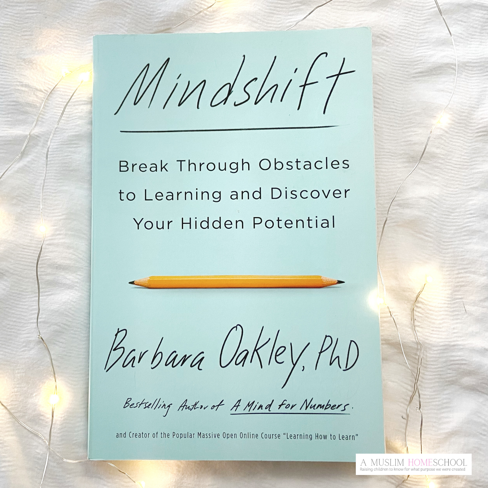 a muslim homeschool: 10 MORE Homeschool Books You Should Read