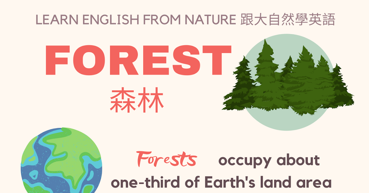 Learn English from Nature 跟大自然學英語: Forest 森林