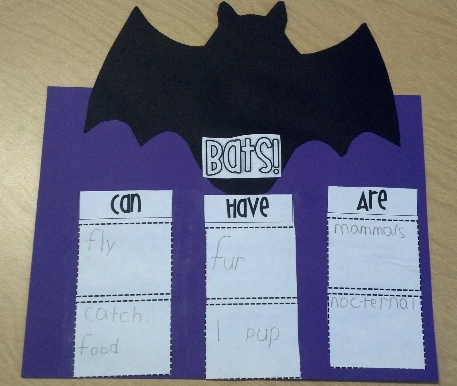 For the Love of First Grade: A Batty Week and a Spider Preview