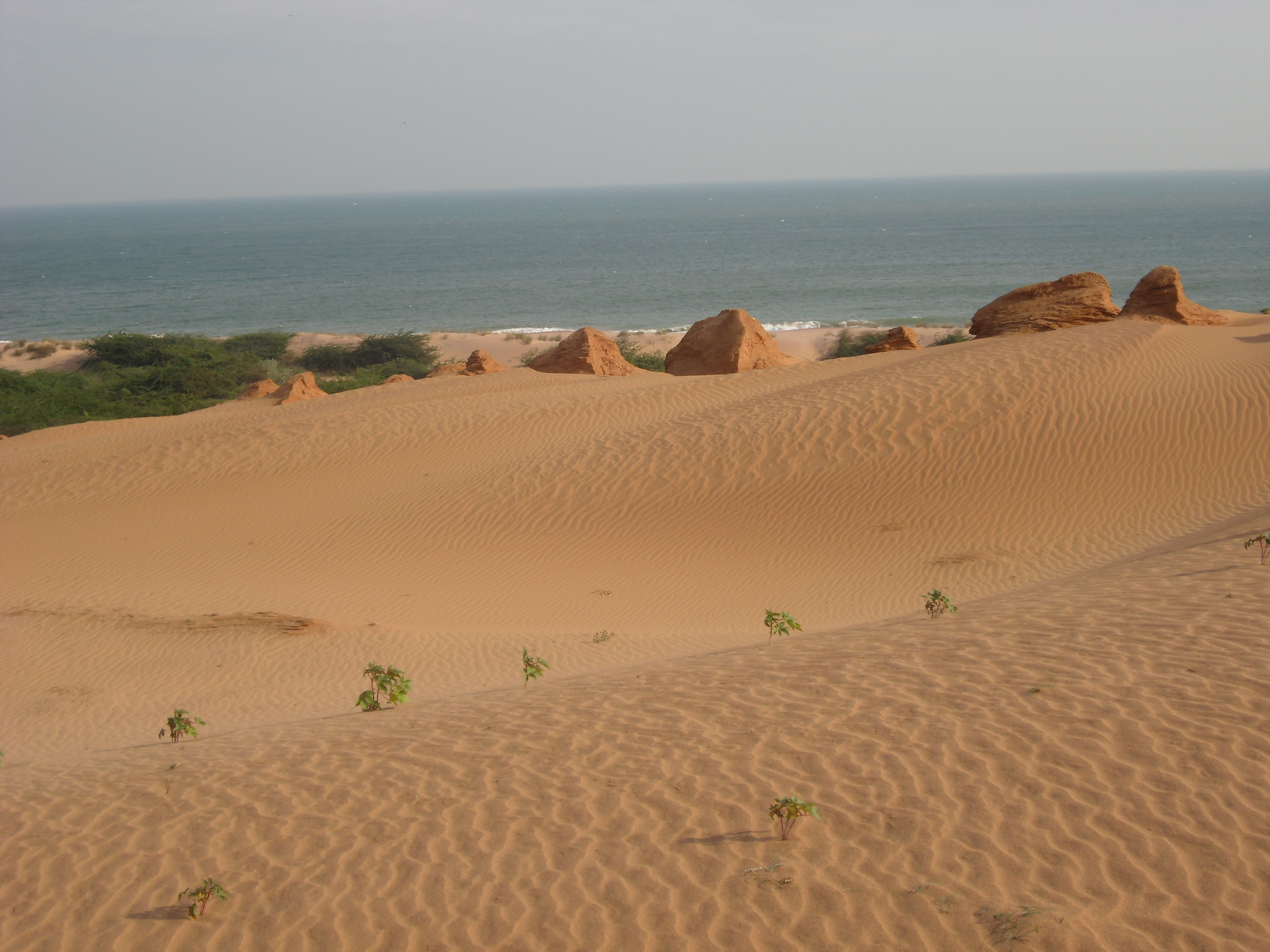 KANYAKUMARI TOURISM: Rich heavy mineral - Kanyakumari