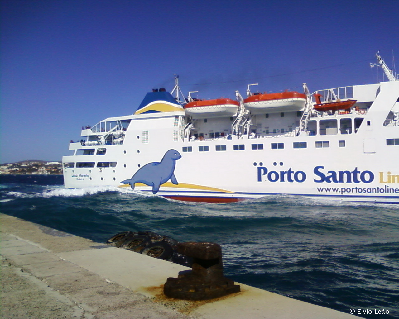 O Mar do Porto Santo: Lobo Marinho lutando contra o vento