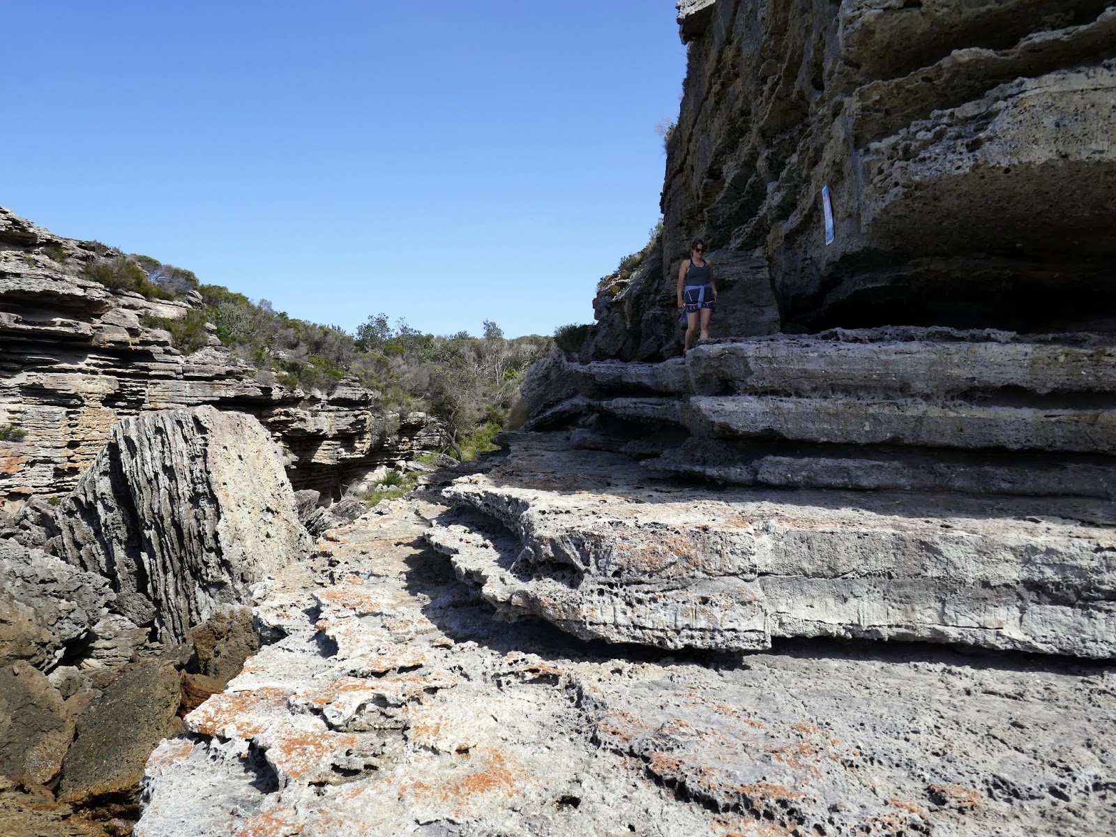 All The Gear But No Idea: Beecroft Head, Gosangs Tunnel & Mermaids Inlet