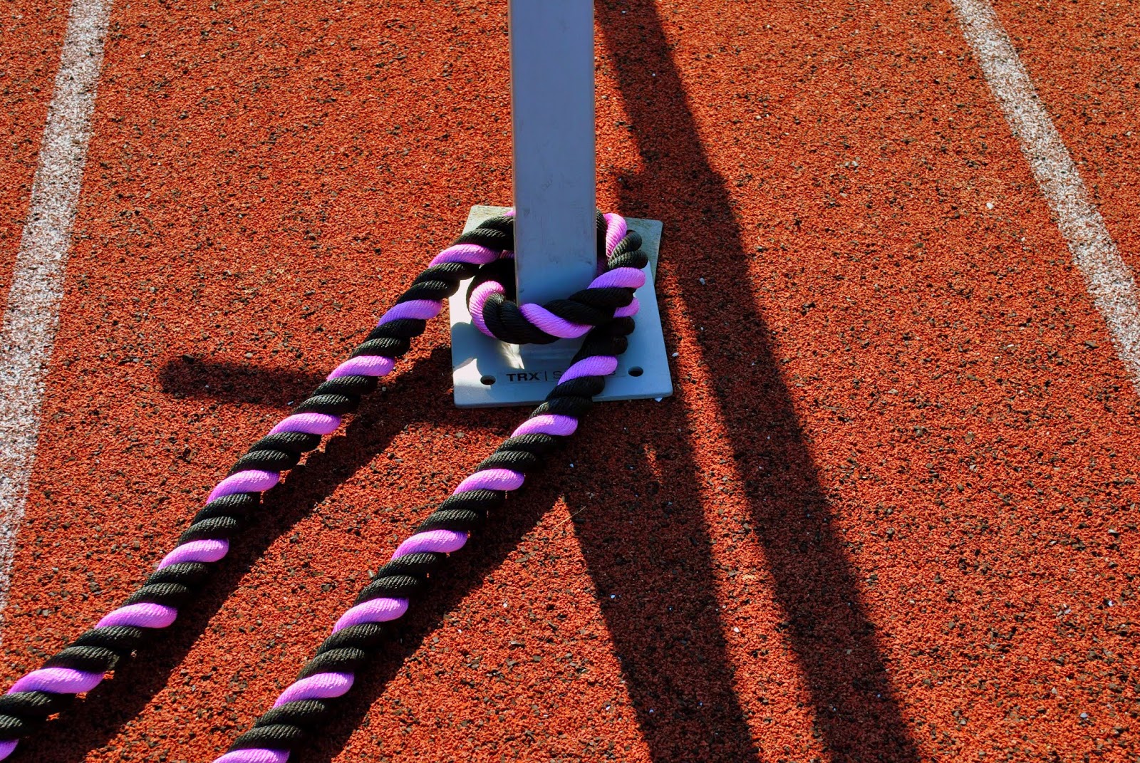 Diary of a Fit Mommy: Fringesport Battle Rope Review