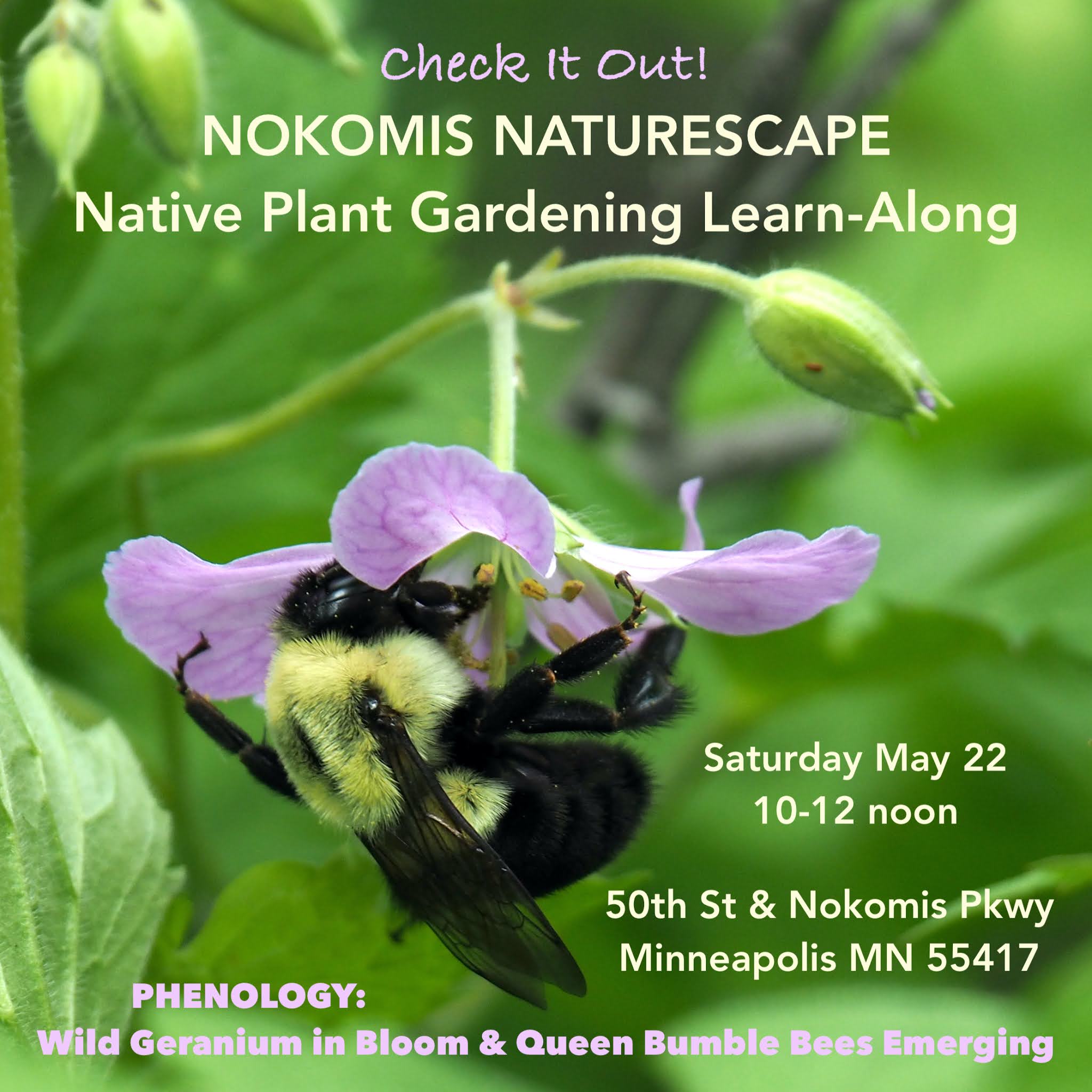 Wild Ones Twin Cities Minnesota: Native Garden Tour - May 26th & 29th