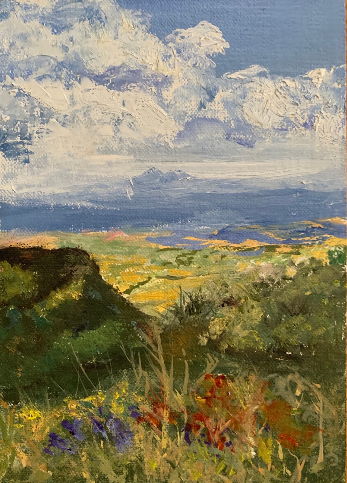 Barbara Cooper Oil Paintings