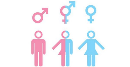 What does it mean to be transgender?