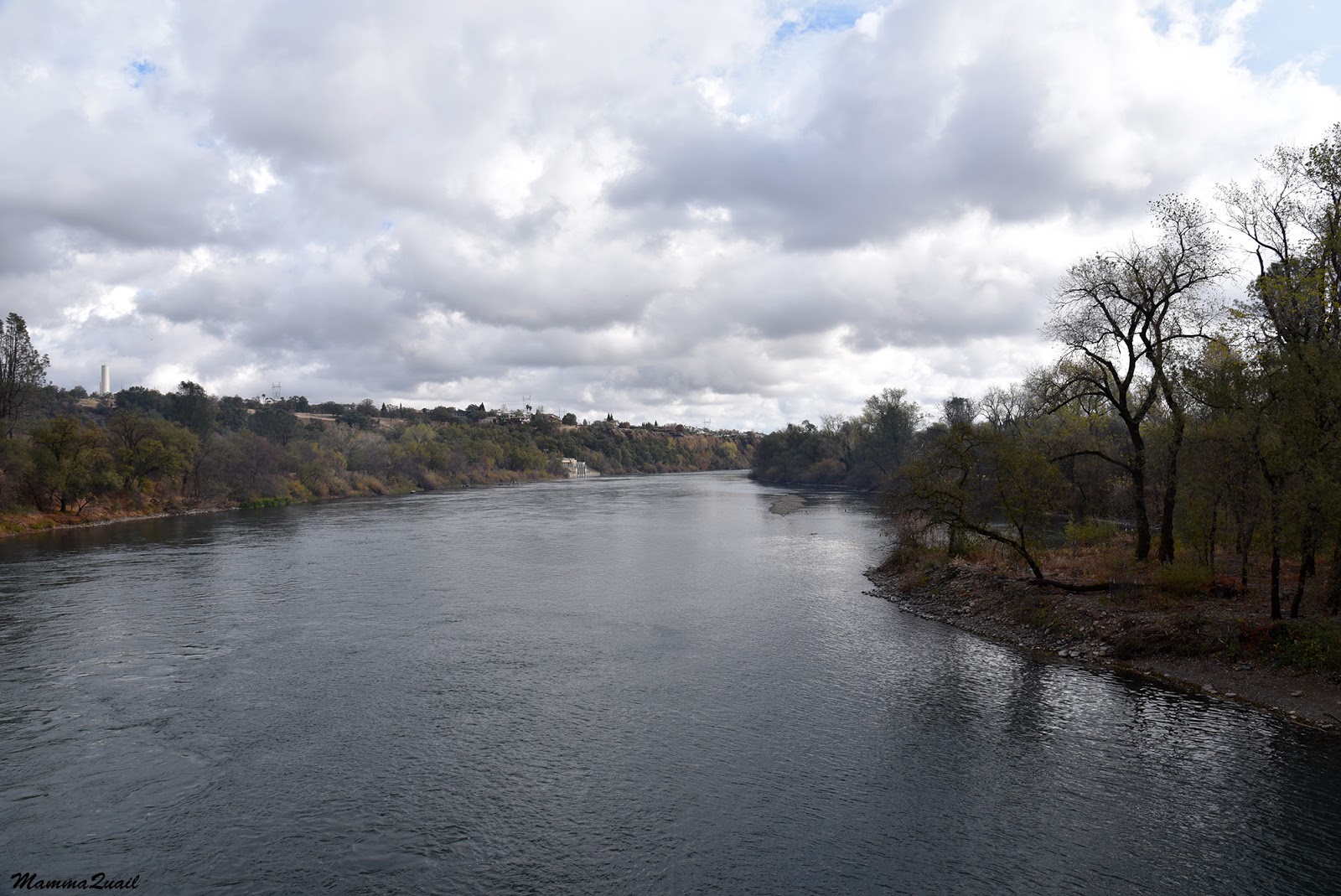 Mamma Quail Hiking California : Exploration on Foot at Turtle Bay, Redding