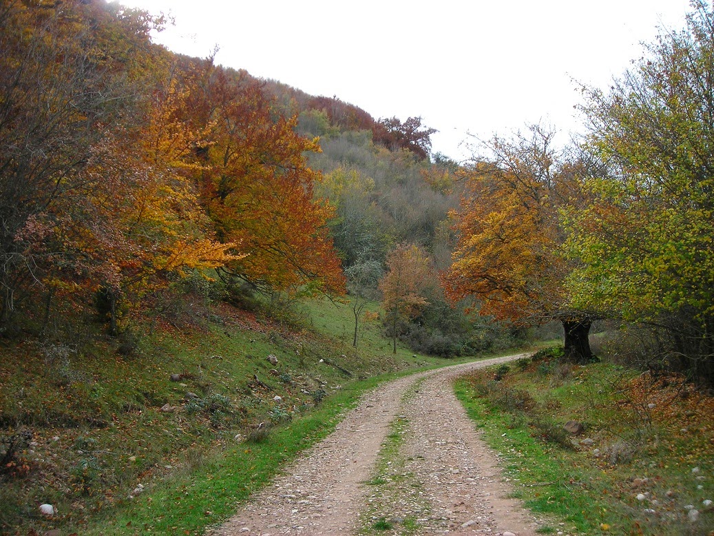Sendas de Burgos: Dehesa de Puras de Villafranca