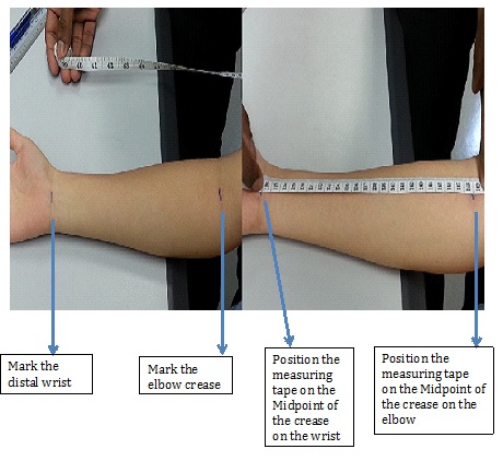 Relationship Between The Length Of The Forearm and Foot: Methodology