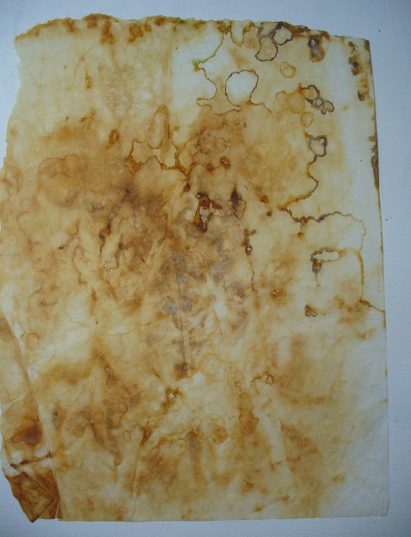 PaperArtsy: 2017 #19 Fave Things: Rusty Torn Flowery Journal page with ...