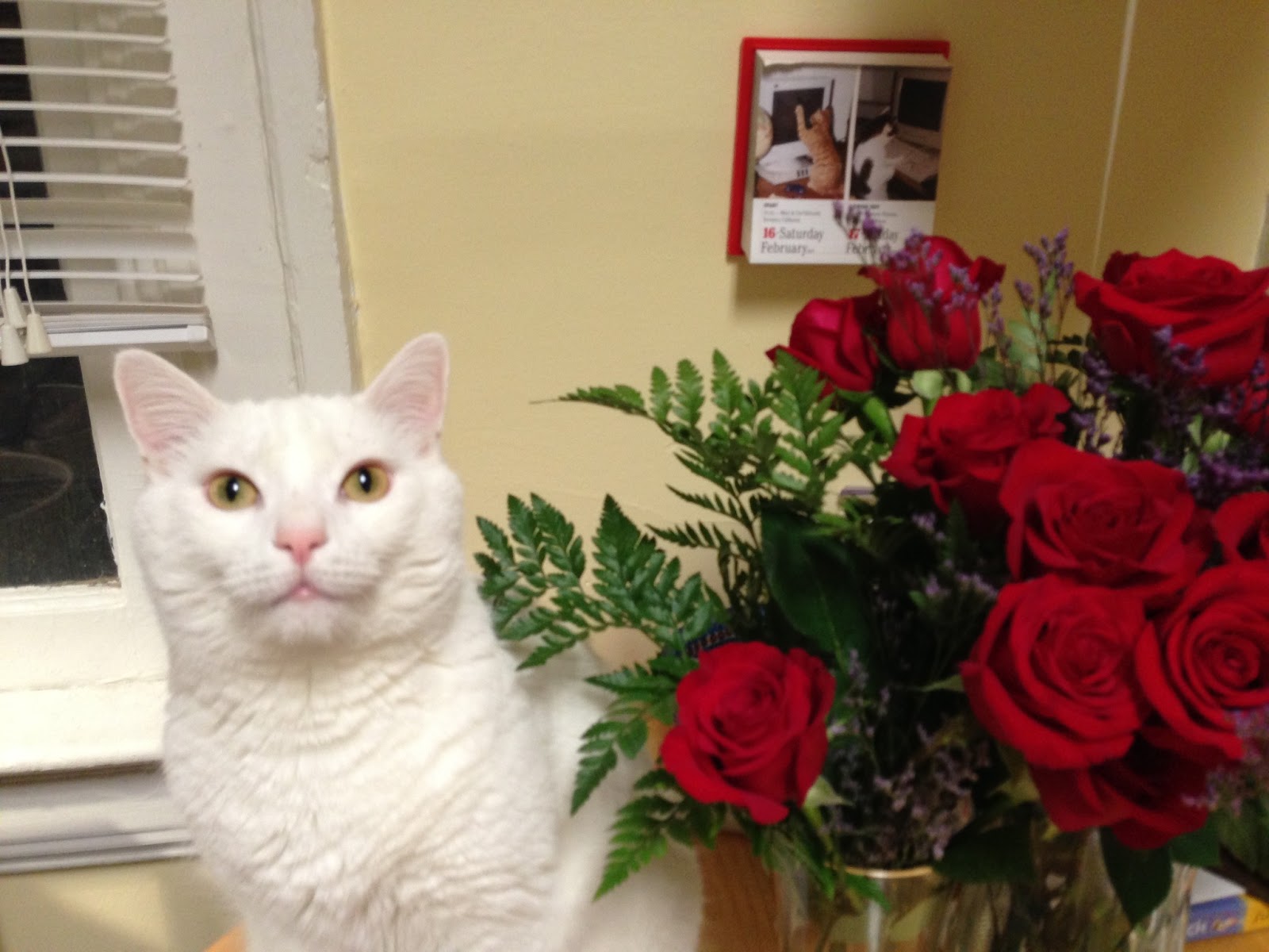 One-Tired Mom: Days of wine cats and roses