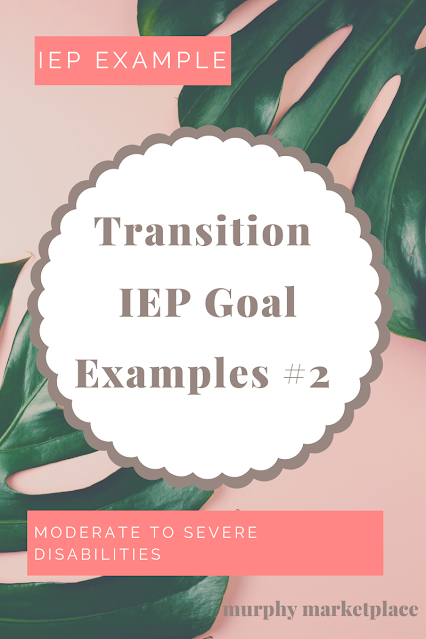 Murphy Marketplace Transition Iep Goal Examples 2 Moderate To Severe murphy-marketplace-transition-iep-goal-examples-2-moderate-to-severe