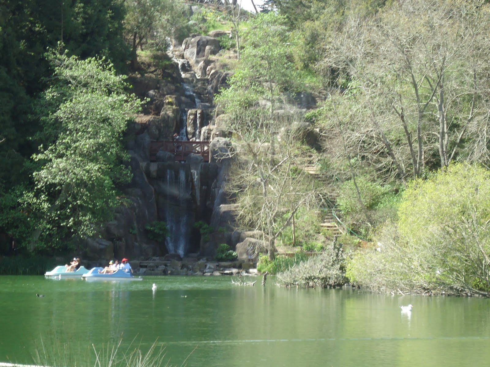 Mum~in~Motion: Detox...my unique experience