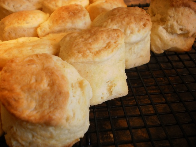 Quilt, Knit, Run, Sew: Cloud Nine Biscuits