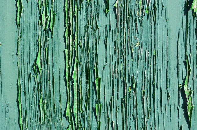 avril 2016 | Mary & Patch