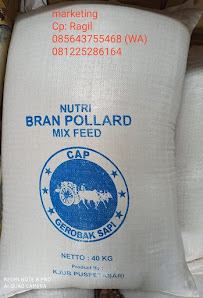 nutrifeed kjub puspetasari: Pakan sapi dan domba terbaik