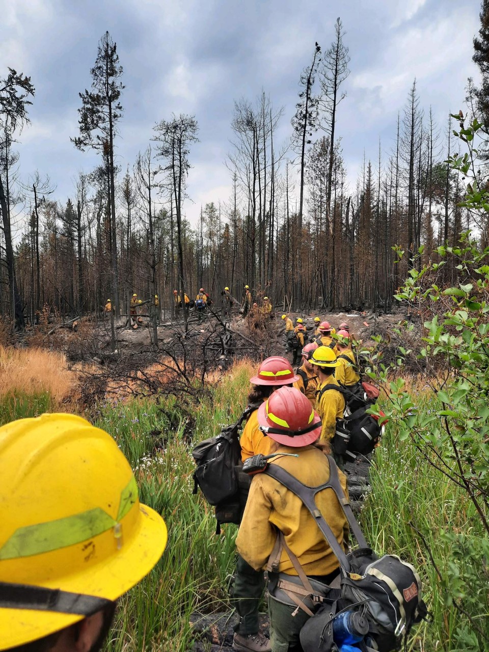 Pennsylvania Forest Fire Protection: Wildland Fire Crew Updates