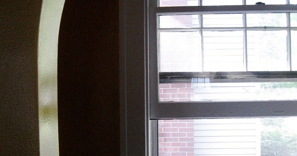 What She Might Think: Fiction Friday: Looker at The Adirondack Review