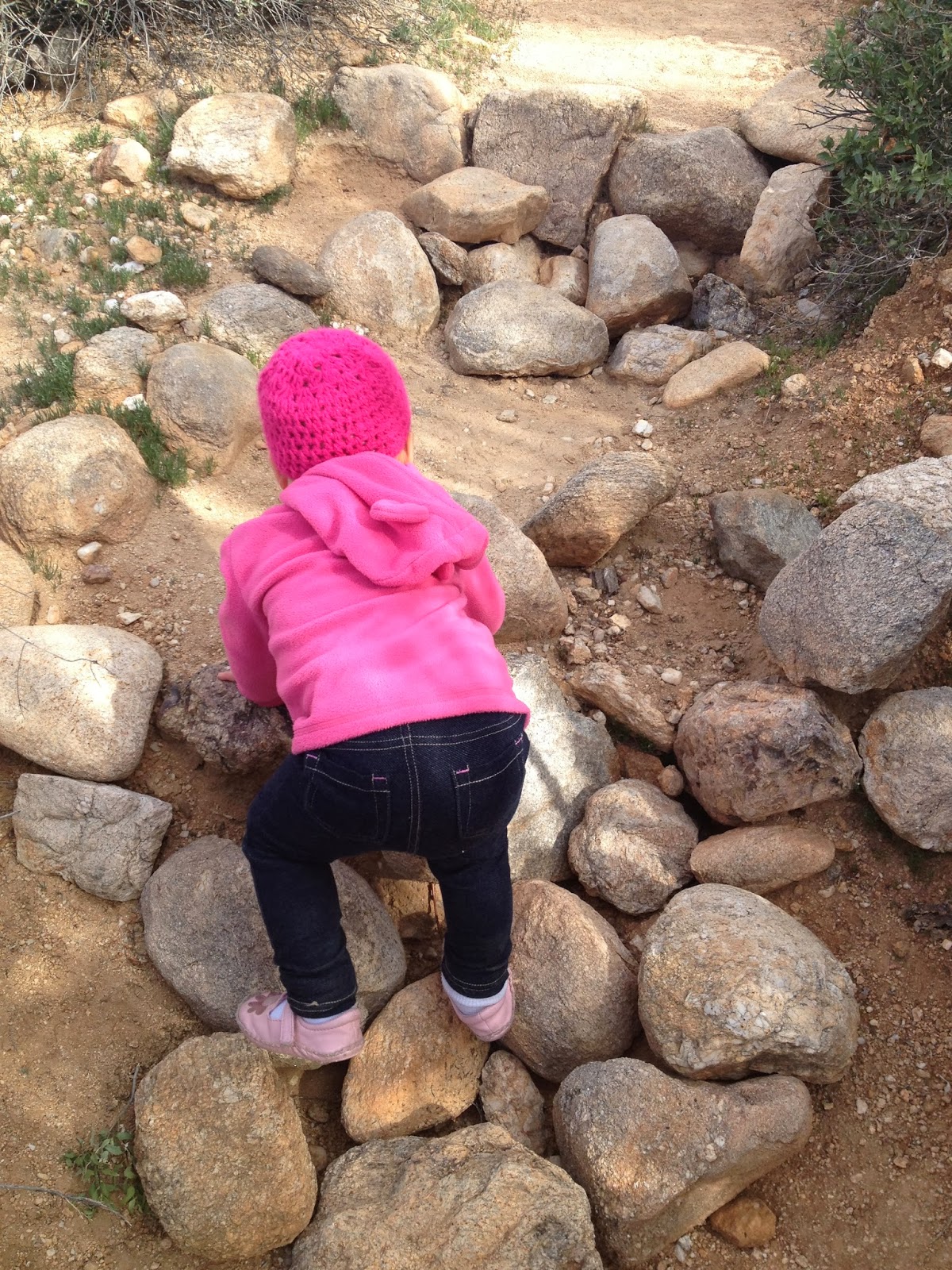 Tucson Toddler Trails: My New Project and Linda Vista Trail