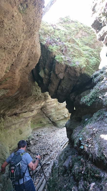 foltról foltra...: április 2020