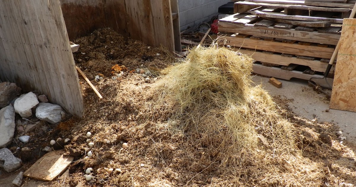 Our Bit of Dirt: Composting 101