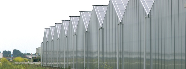 GREENHOUSE TYPE BASED ON COVERING MATERIALS