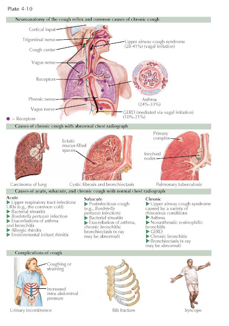 CHRONIC COUGH - pediagenosis
