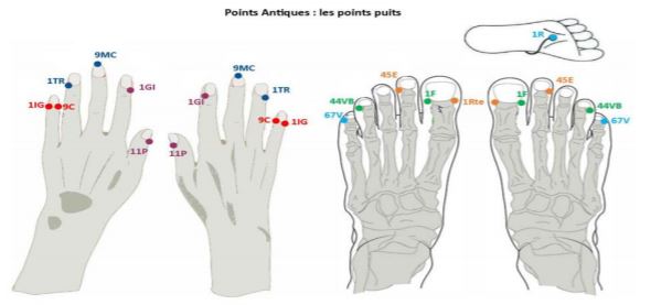 Blog Le Souffle du Menhir: Les 5 points shu antiques Wu Shu Xue / Wǔ ...