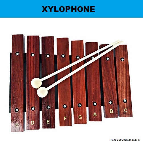 My Homeworks: PERCUSSION INSTRUMENT-XYLOPHONE
