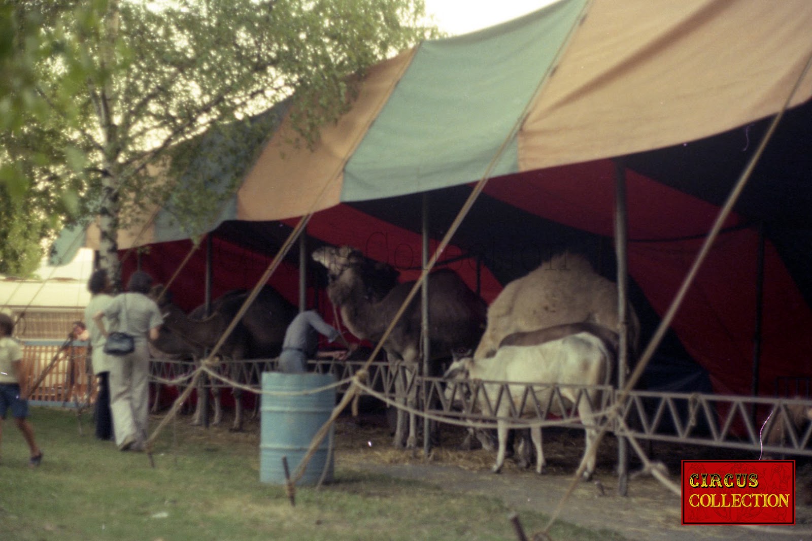 Circus -Collection: Circus Barum 1976